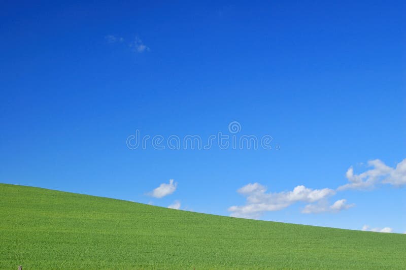 Spring field stock image. Image of field, fresh, beautiful - 642969