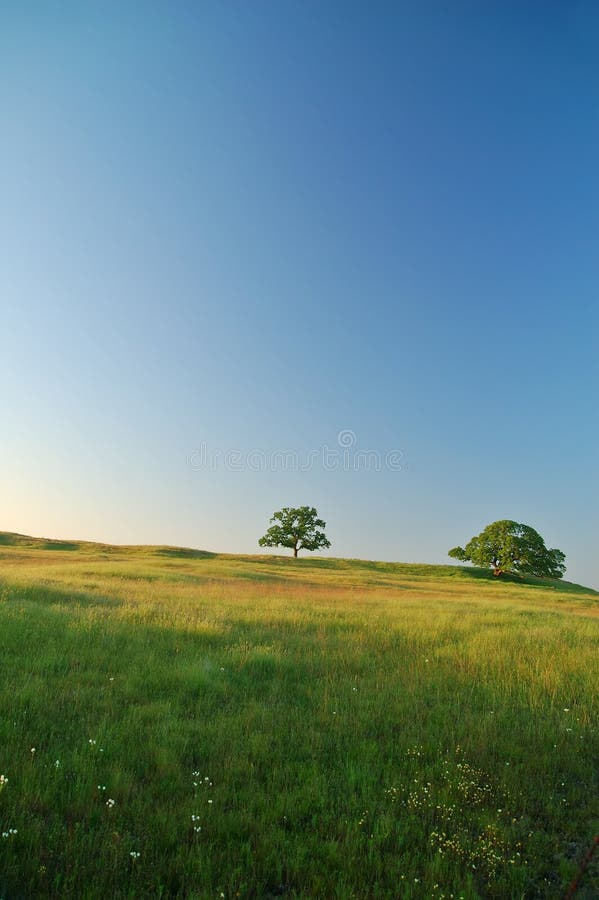 Spring Field stock photo. Image of hillside, field, green - 729754