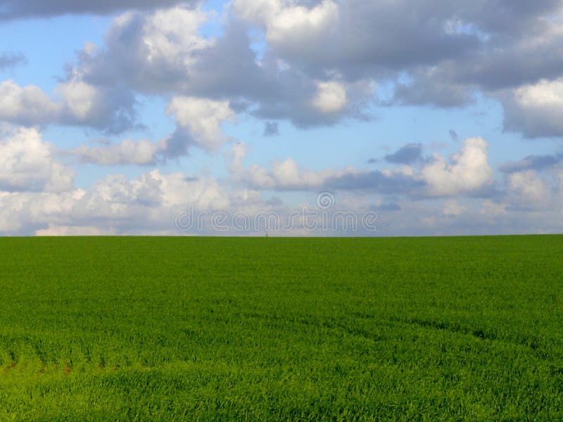Spring Field stock image. Image of cloud, wheat, clouds - 7765301