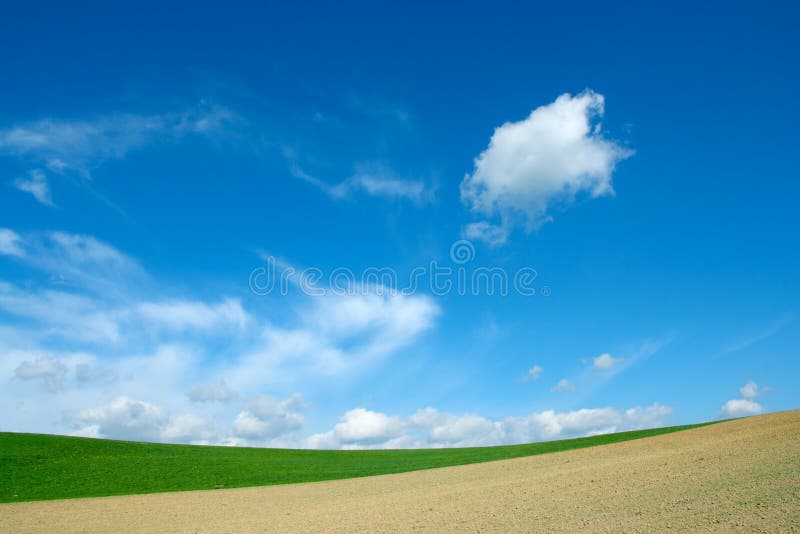 Spring field stock image. Image of flora, spring, outdoor - 9103979