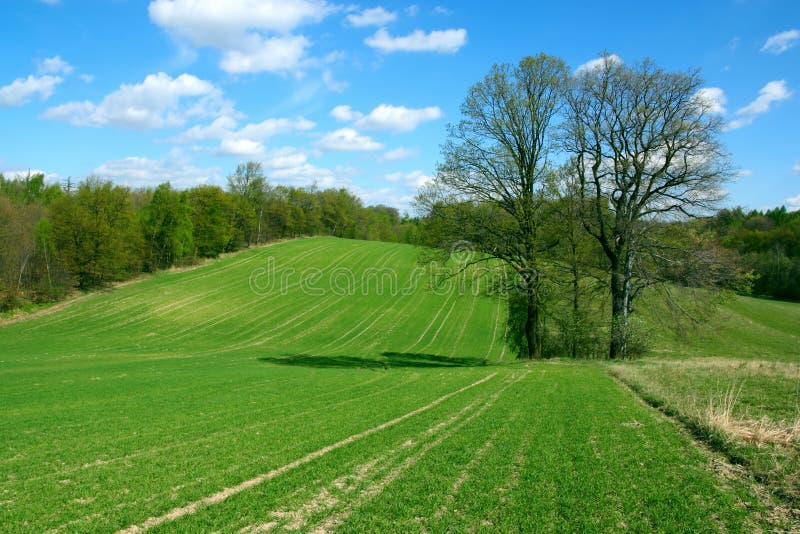 Spring field stock photo. Image of field, scenery, agricultural - 9104208