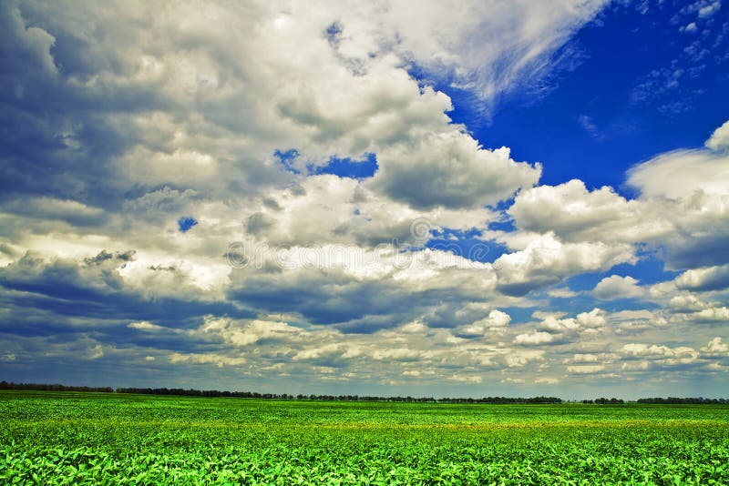 Spring field stock image. Image of clouds, outside, outdoor - 40779931