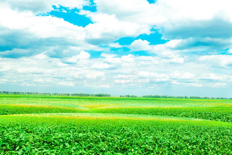 Spring field stock image. Image of country, spring, grassy - 40779895