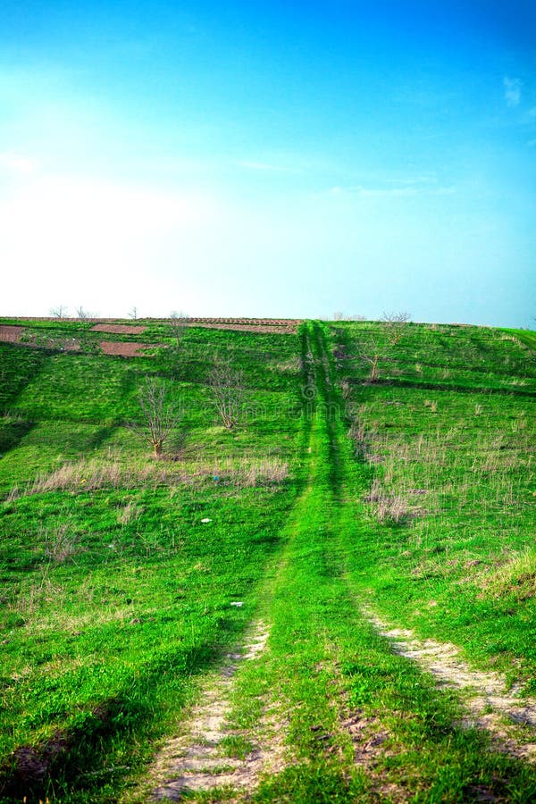 Spring field stock image. Image of country, spring, grassy - 40779895