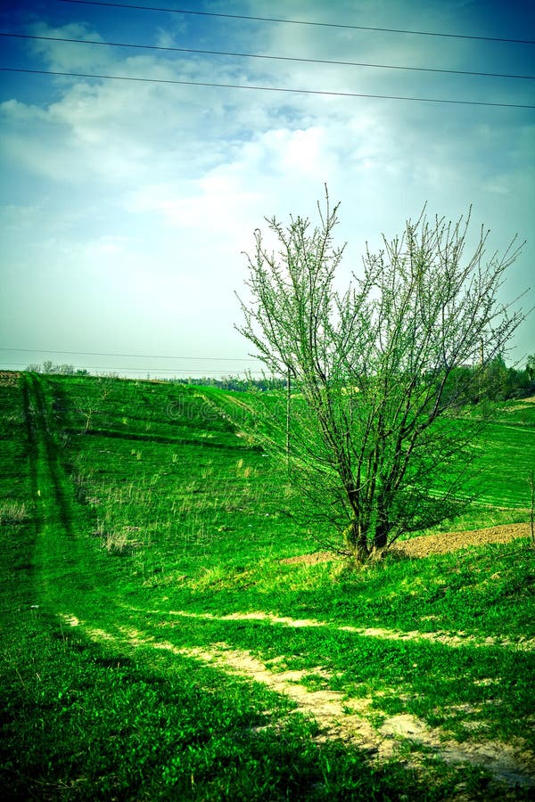 Spring field stock image. Image of country, spring, grassy - 40779895