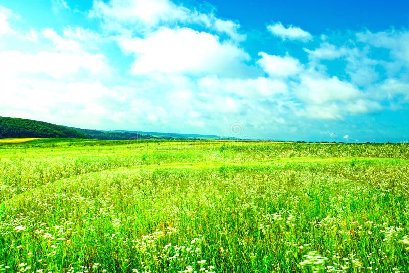 Spring field stock image. Image of clouds, outside, outdoor - 40779931