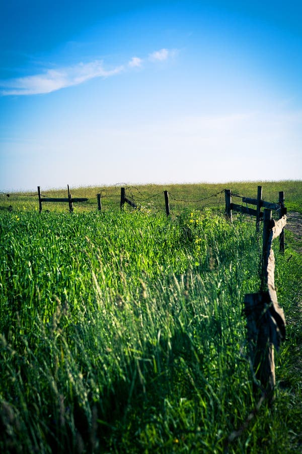 Spring field stock image. Image of country, spring, grassy - 40779895