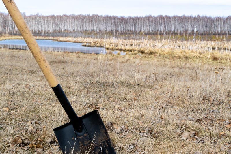 A Spring Field without Grass and Trees without Foliage and on the Front ...