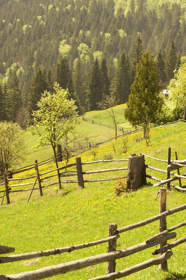 Spring Field. Green Landscape Stock Photo - Image of grass, background ...