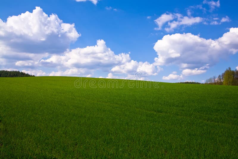 Spring field horizontal stock photo. Image of season, blue - 7254832