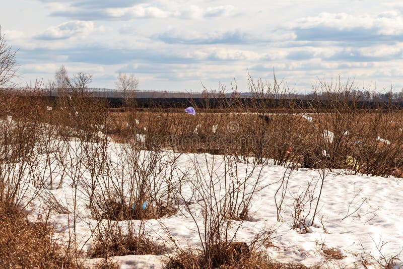 Environmental Pollution. Garbage in Nature. the Spring Field is ...