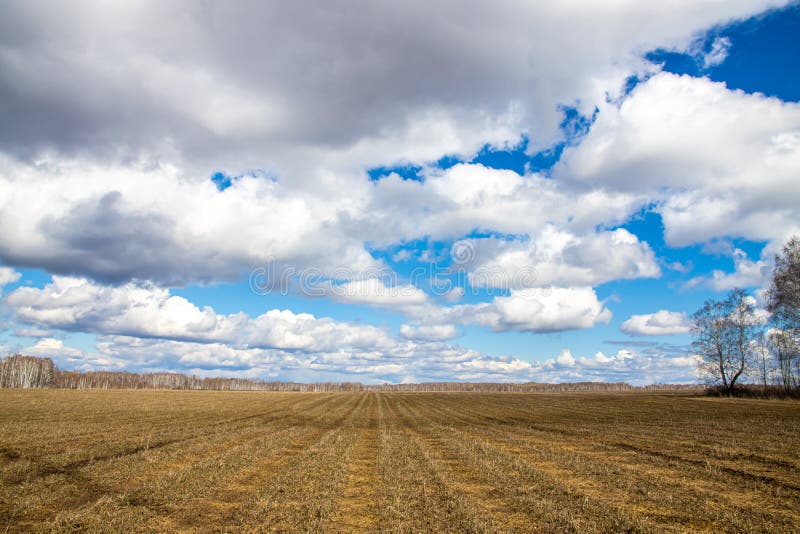 Spring Field Landscape in Russia Stock Image - Image of nature, grass ...