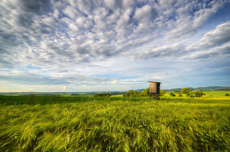 Spring field scenery stock photo. Image of trees, dramatic - 56820290