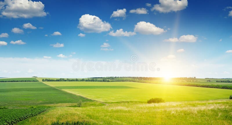 Spring Field And Sunrise On Blue Sky Stock Image - Image of field ...