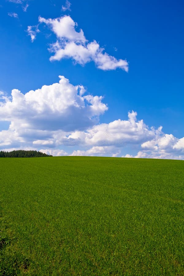 Spring field vertical stock image. Image of grass, cloud - 7254921