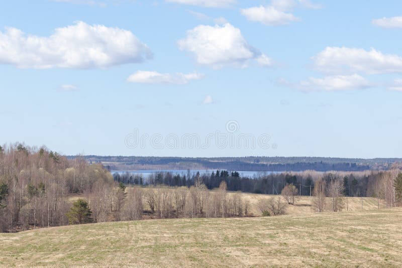 Spring Field at Wood in Solar Weather. Stock Photo - Image of foliage ...