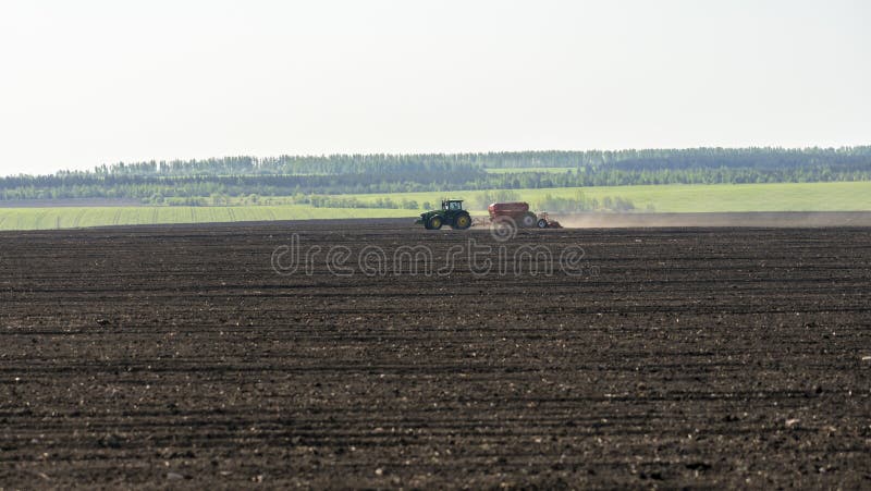 Spring Field Work, the Tractor Sows Wheat in the Field on the ...
