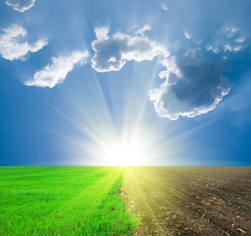 Spring fields stock photo. Image of beautiful, lush, country - 12821626