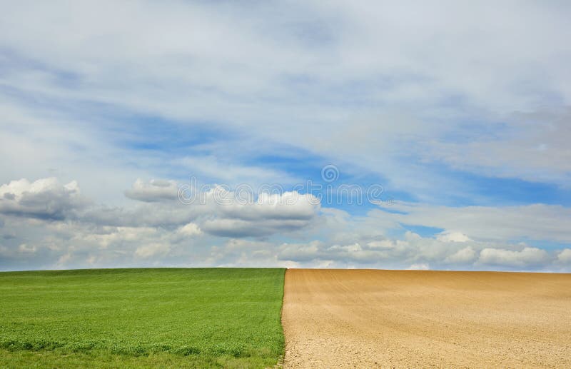 Spring fields stock photo. Image of agriculture, rural - 24281250