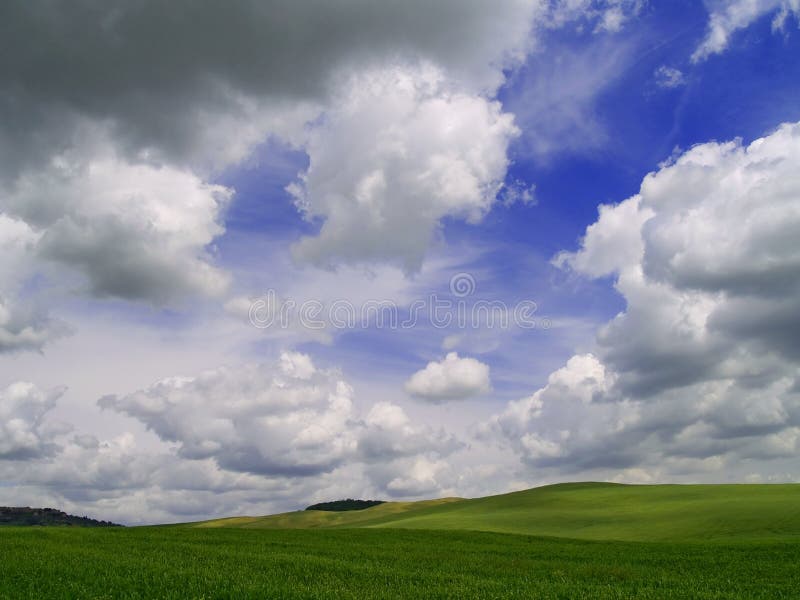 Spring fields stock photo. Image of italy, outdoors, wheat - 2773238