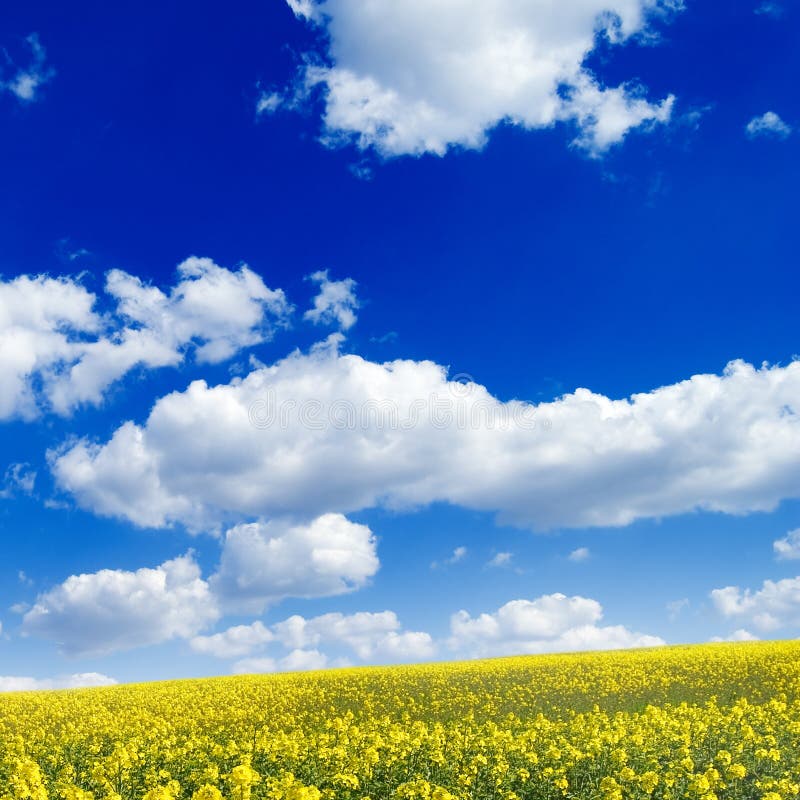Spring fields stock photo. Image of beautiful, colorful - 4399738