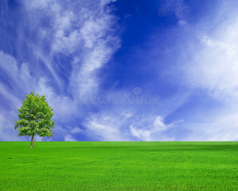 Spring fields stock photo. Image of clouds, warm, green - 8919326