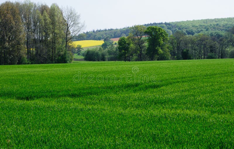 Spring fields stock photo. Image of natural, summer, countryside - 88265998