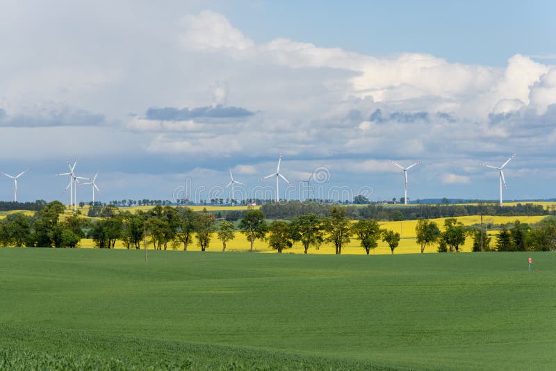 Spring Fields with Blooming Rapeseed. Poland, Europe Stock Image ...