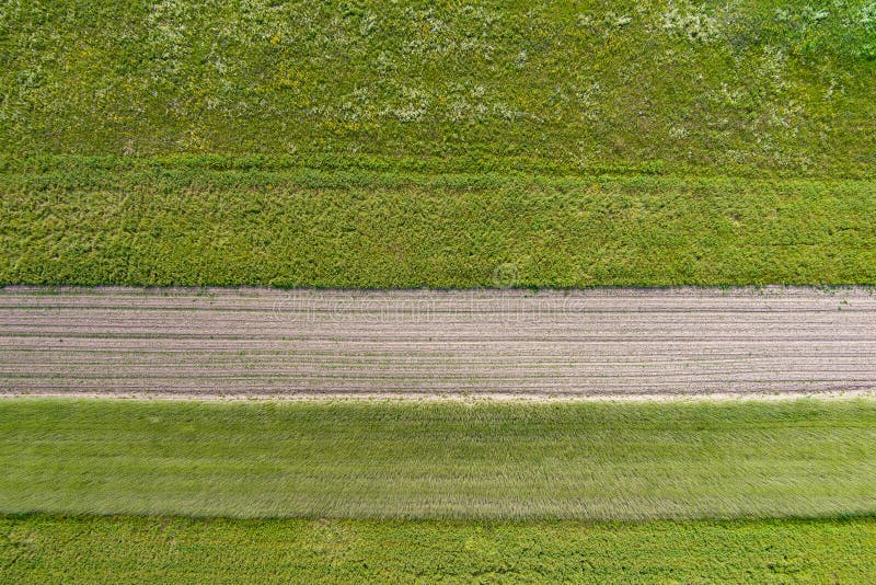 Spring Fields on the Countryside Stock Image - Image of green, abstract ...