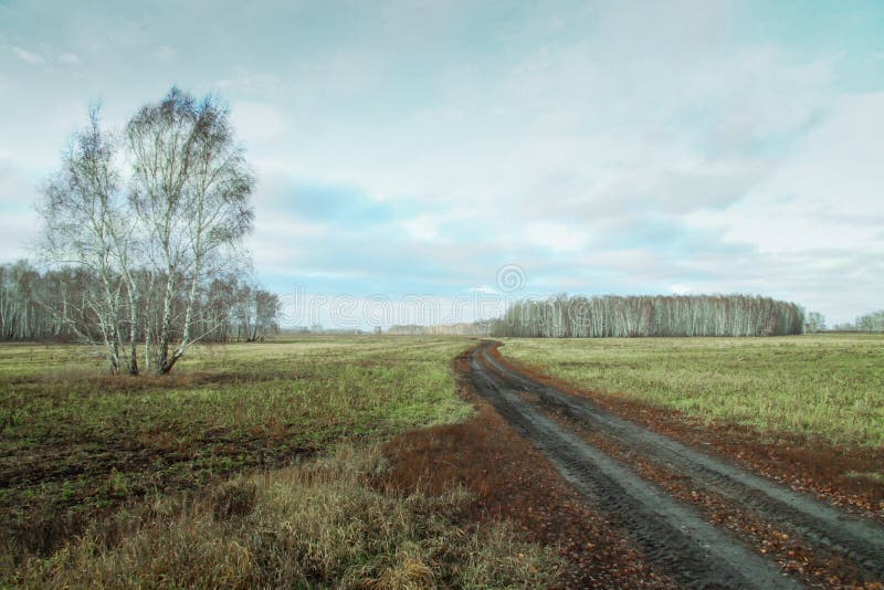 Spring in the Fields of Eastern Europe Stock Image - Image of grass ...