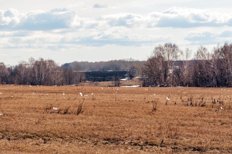Environmental Pollution. Garbage in Nature. in the Spring, the Fields ...
