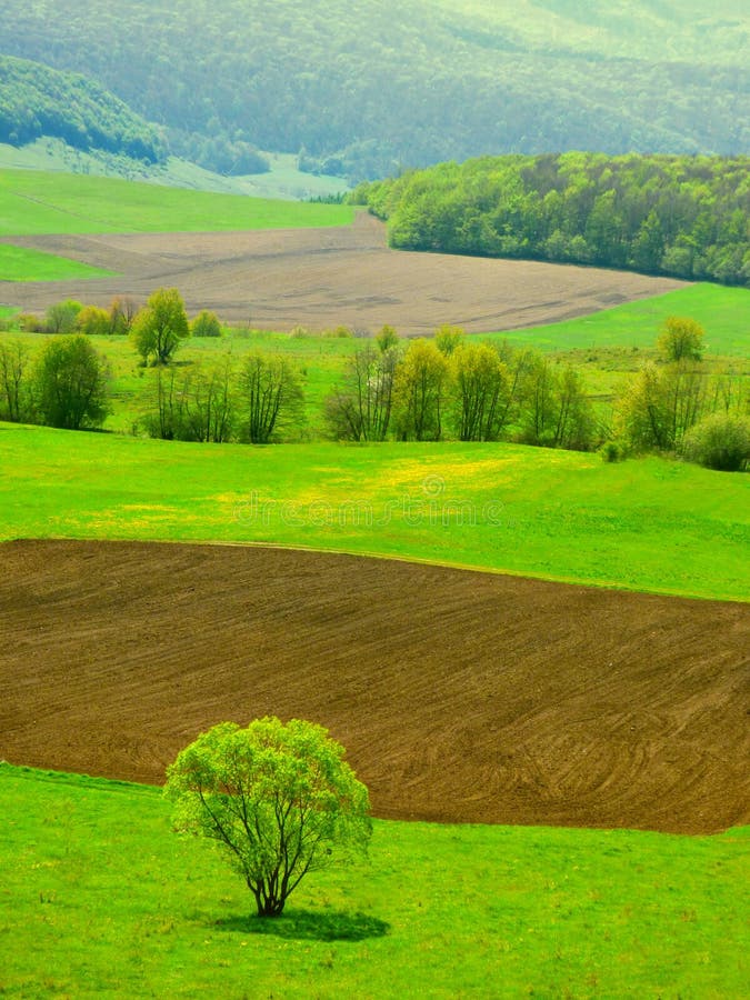Spring fields and meadows stock image. Image of ploughed - 144161419