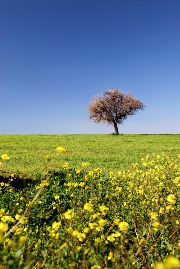 Spring fields portrait stock image. Image of cloud, farming - 1885585