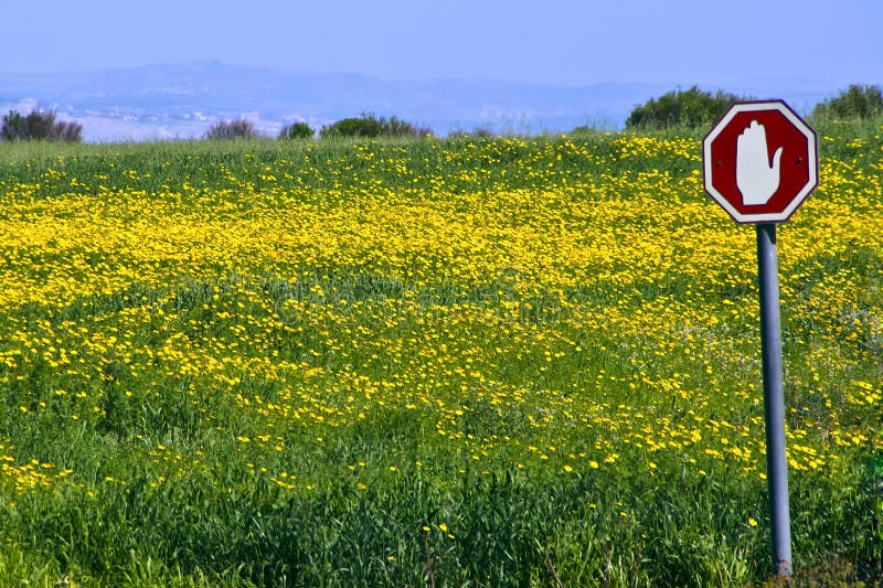 Spring Fields Surrounding Jerusalem, Israel Stock Photo - Image of ...