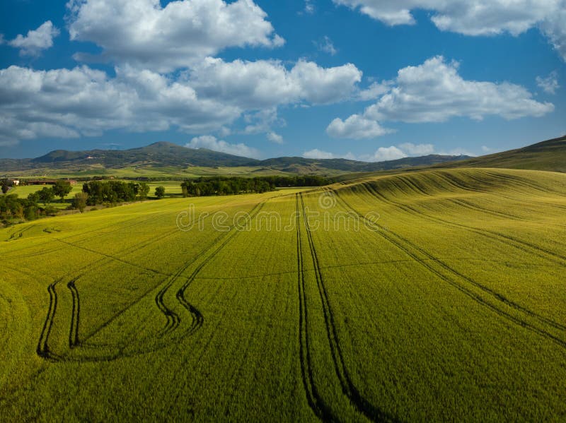 Spring in the Fields of Tuscany in the Sunset Stock Image - Image of ...