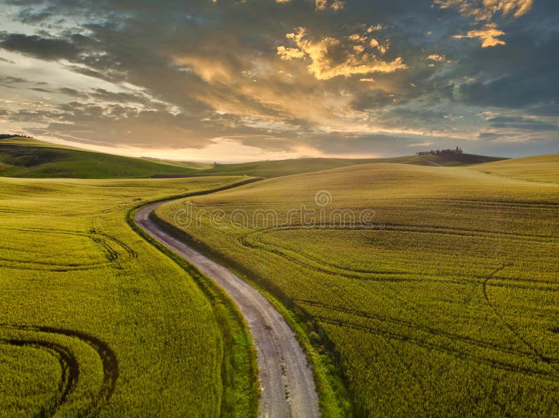 Spring in the Fields of Tuscany in the Sunset Stock Photo - Image of ...