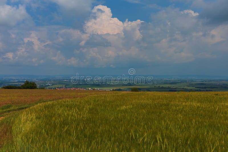 Spring Fields with a View of the City. There are Dramatic Clouds in the ...