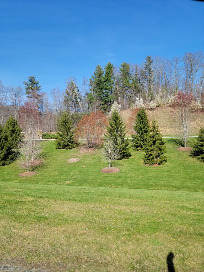 Spring finally stock photo. Image of blue, finally, beautiful - 214874590