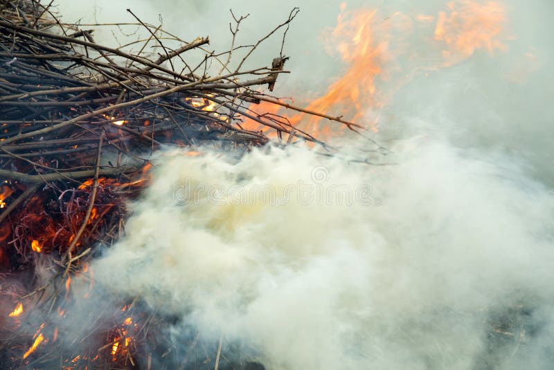 Burning Debris on the Slopes of the Mountains in the Jungles of Stock ...
