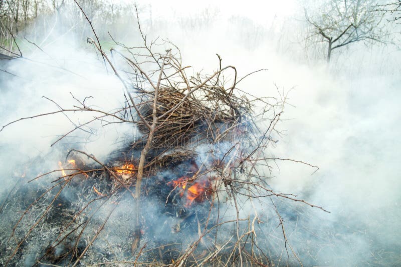 Spring Fire, Burning Debris Stock Image - Image of twig, branches: 90298657