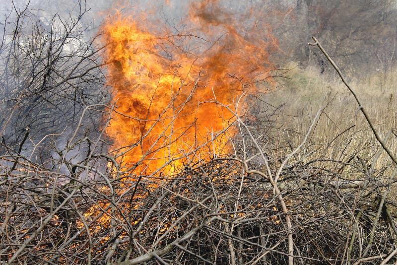 Spring fire stock image. Image of burning, night, close - 48688351