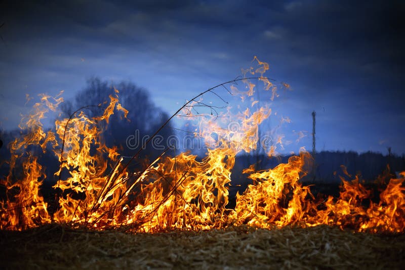 Spring fire in the skies stock photo. Image of trees - 110794950
