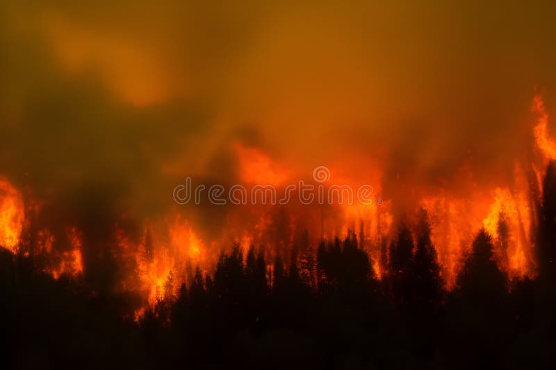 Spring Fires Creepy Shots, Burning Trees and Grass Stock Illustration ...