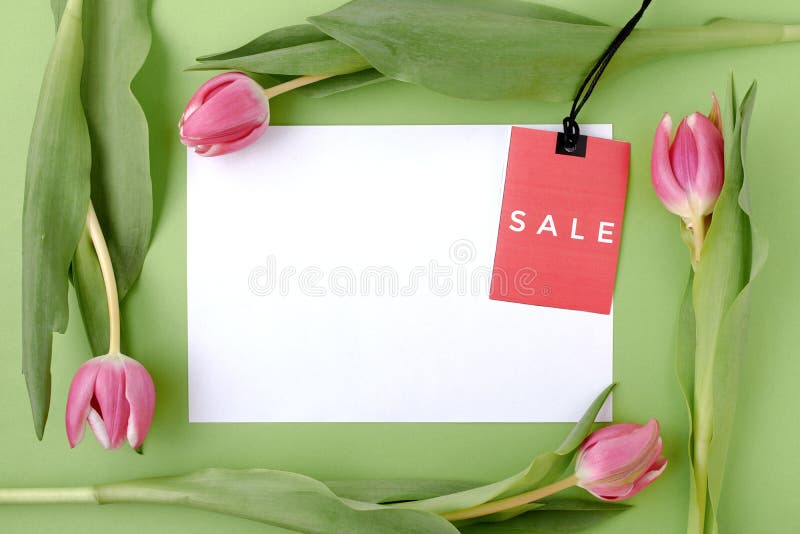 Spring Flat Lay with Sale Label Isolated on Green Background Stock ...