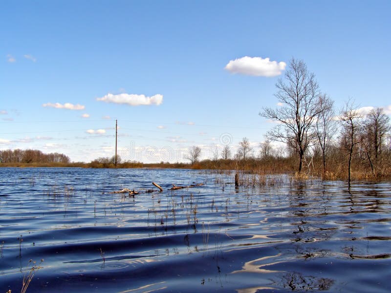 Spring flood stock image. Image of branch, blue, park - 11161923
