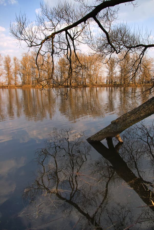 Spring flood stock photo. Image of azure, skyline, stream - 2226878