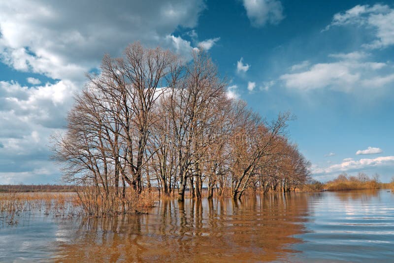 Spring flood stock image. Image of flood, horizon, cloudless - 23873917