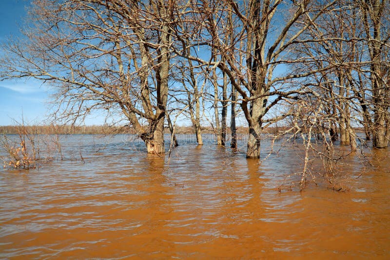 Spring flood stock photo. Image of flood, element, disaster - 24062298