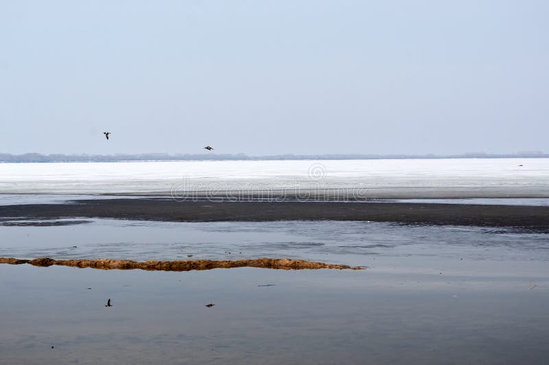 Spring Flood Floods Large Areas in Russia Stock Photo - Image of russia ...