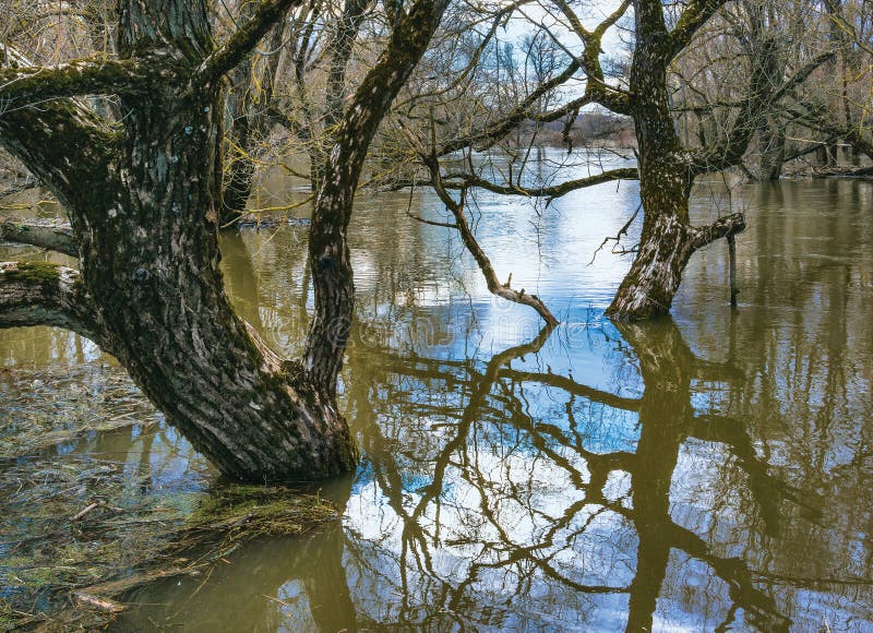 Spring flood stock photo. Image of spring, river, overflow - 70455438